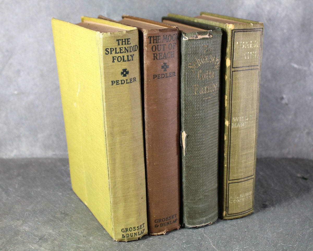 Set of 4 Antique Books for Library Decor | Chronicles of the Schonberg ...
